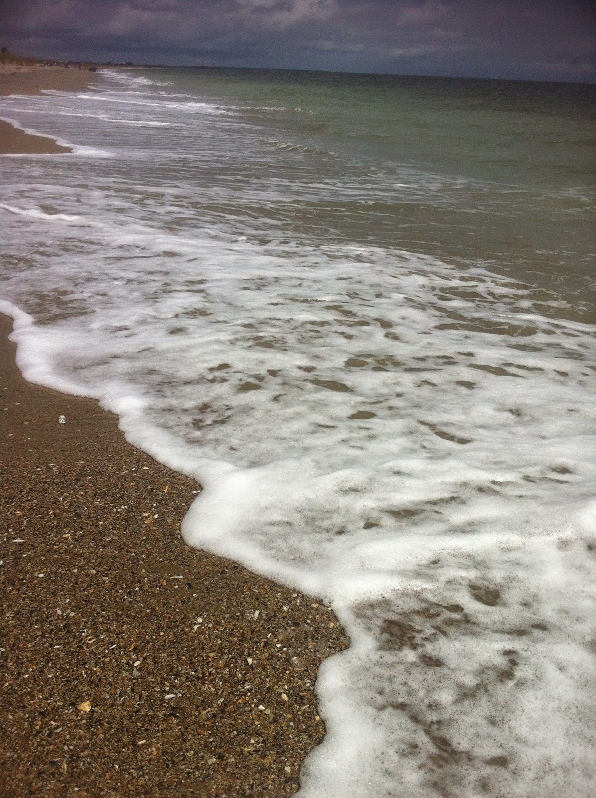 Classy Cathleen: A Look Inside My Camera Roll