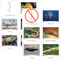 The Helpful Garden: Vertebrate and Invertebrate Sorting Cards
