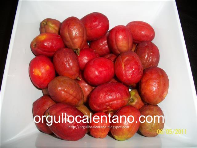 Orgullo Calentano: enero 2012