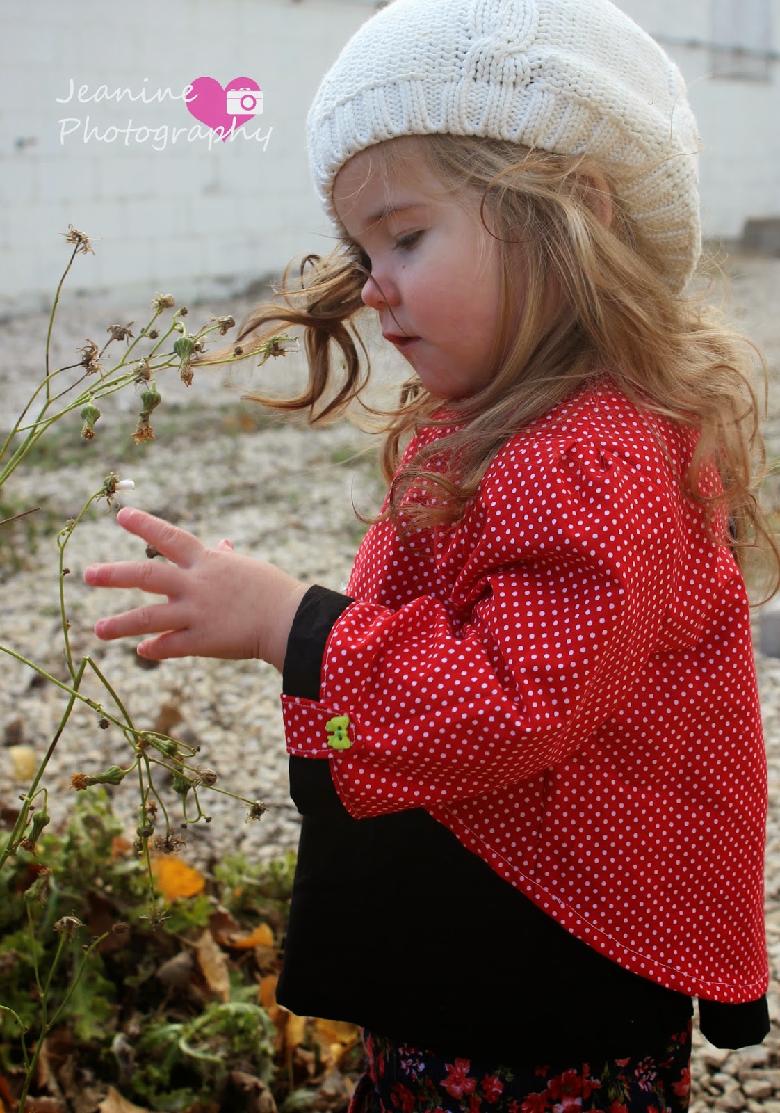 The Scientific Seamstress: Cheeks' Chic