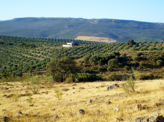 Club de Senderismo Los Escuderos de Rus (Jaen): ZAGAHÓN-PUENTE DE ARIZA ...