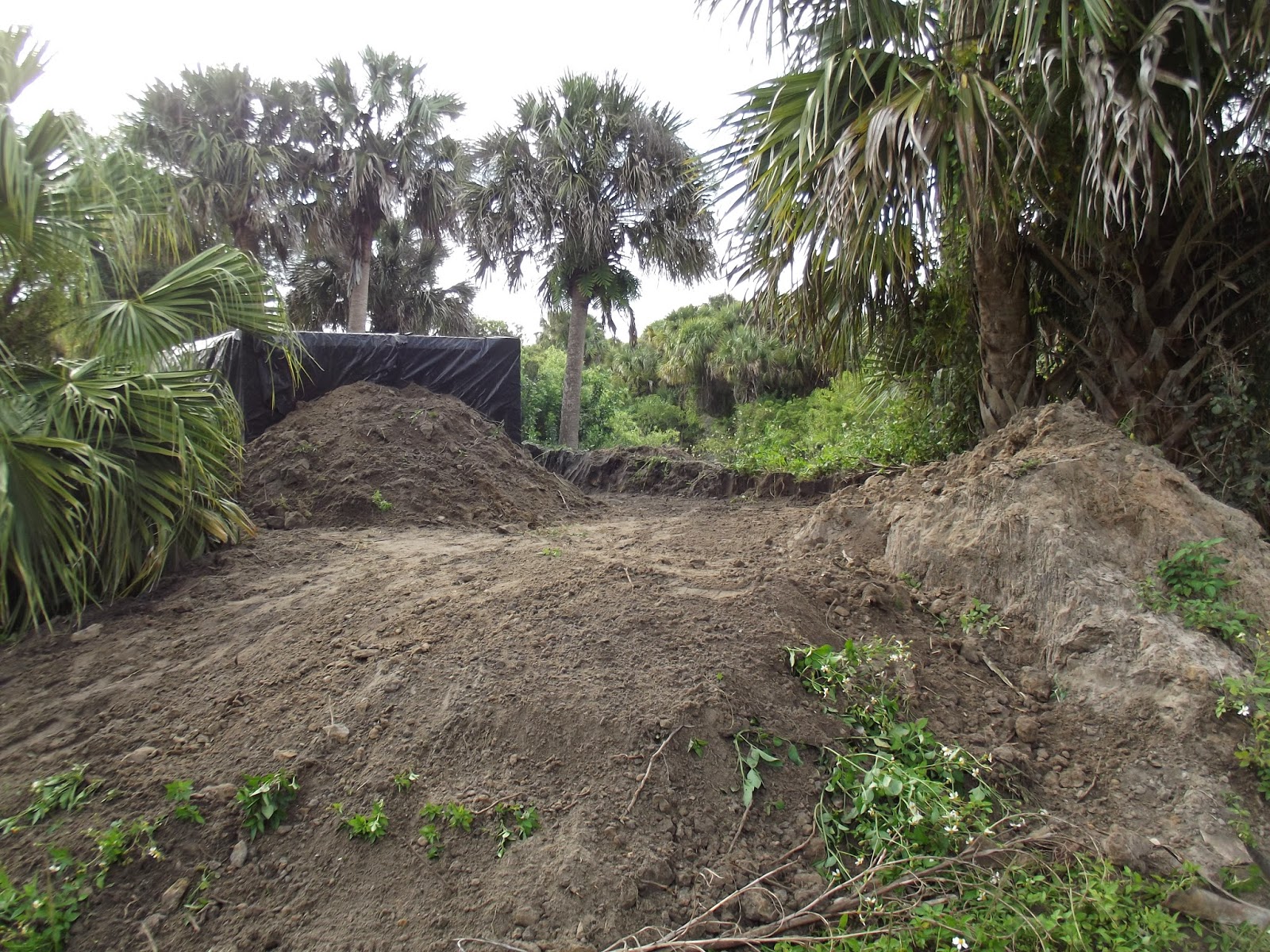 The Compound: Saturday Part 2, Container Update; Dirt, Dirt and more Dirt