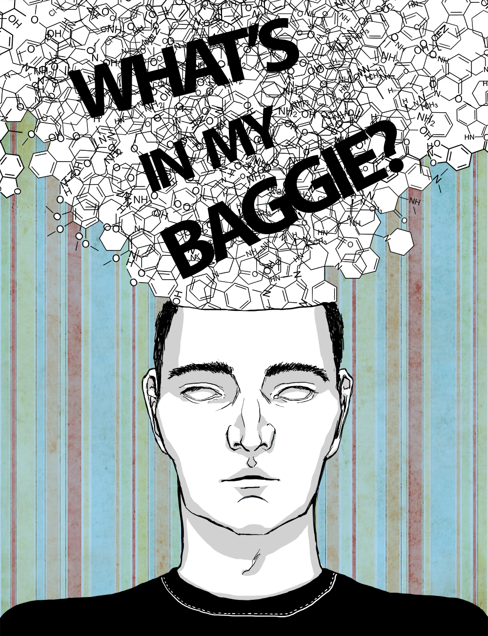 Whats In My Baggie Documentary On Psychedelics Psychedelic Adventure