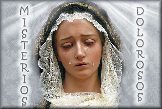 ® VIRGEN MARÍA, RUEGA POR NOSOTROS®: EL SANTO ROSARIO, IMÁGENES DE LOS ...