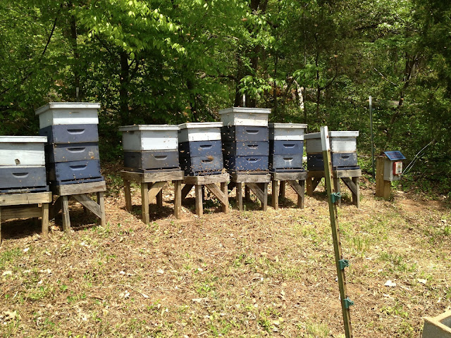 DC Honeybees: Queen Rearing Essentials, Dr. Larry Connor, Day One -VIDEO