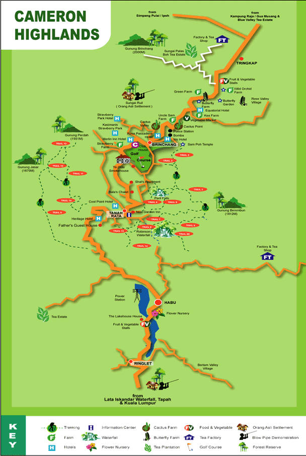 Cameron Highlands Sweet Homestay: Peta Cameron Highlands
