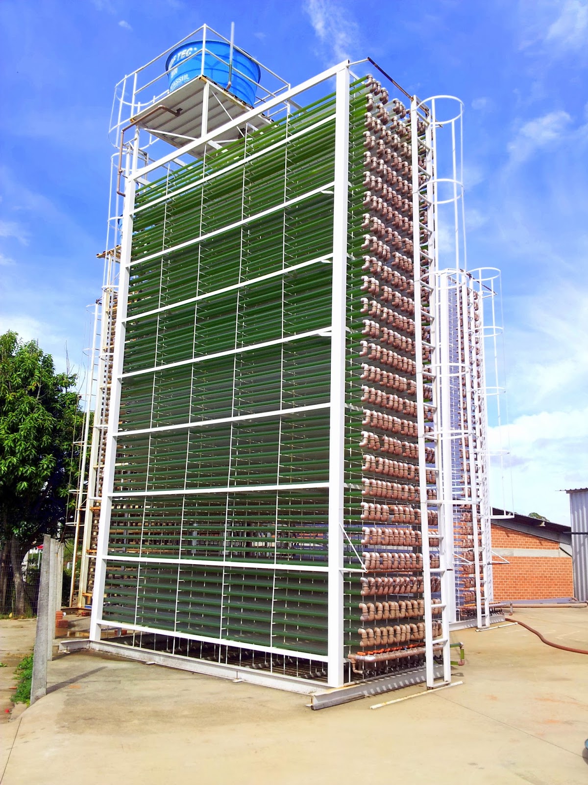 Os Fotobiorreatores do NPDEAS