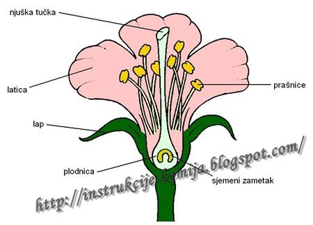 Instrukcije iz kemije i biologije: srpnja 2012