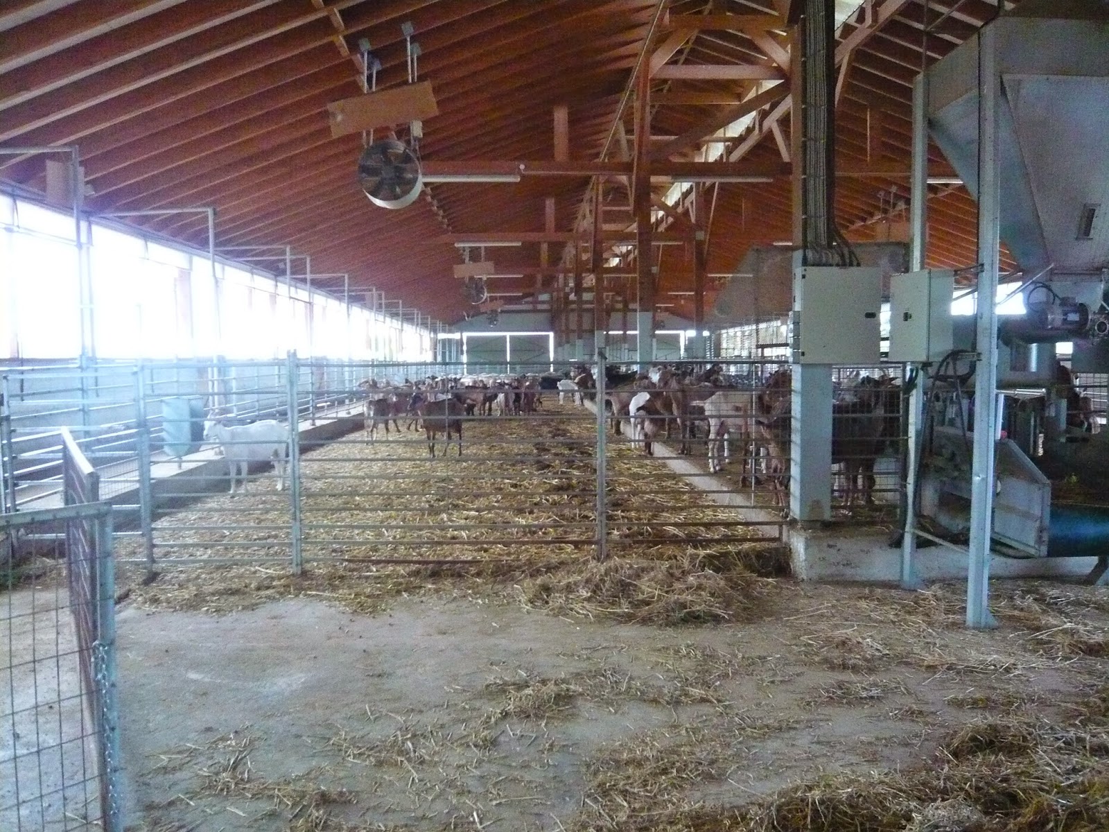 Produced in Cyprus: Riverland Diary Bio Farm – your first choice for ...