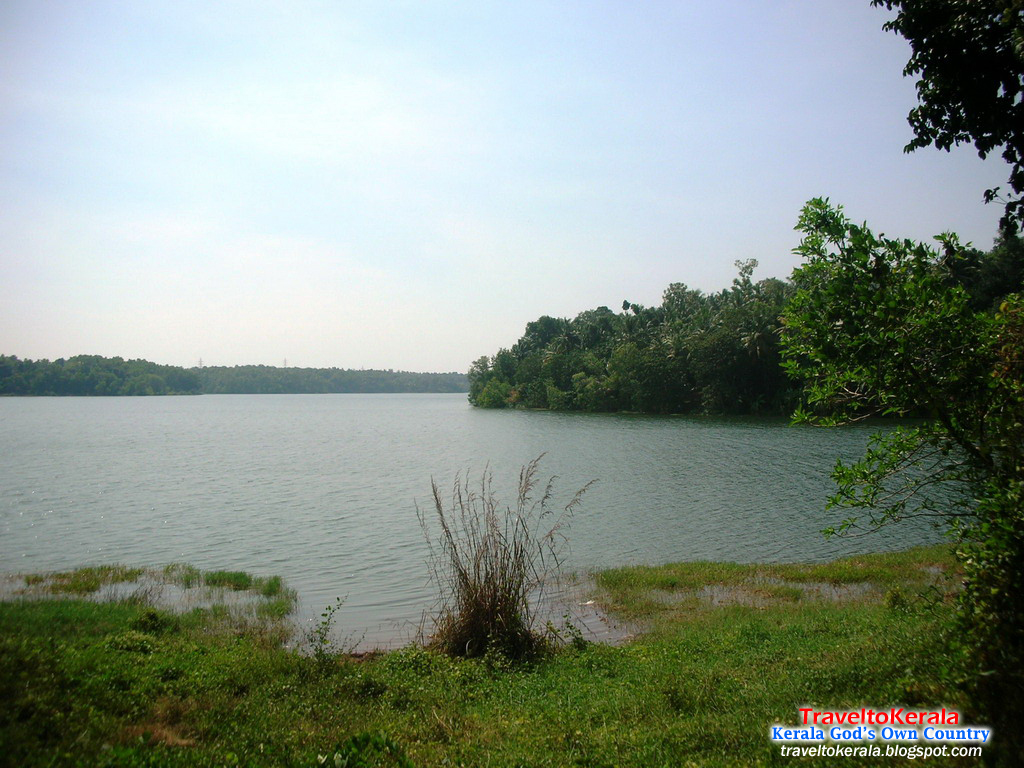 Day Out Kerala: Sasthamkotta Lake