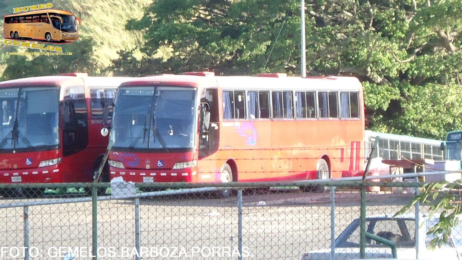 Buses Gemelos: GALERIA VARIADA
