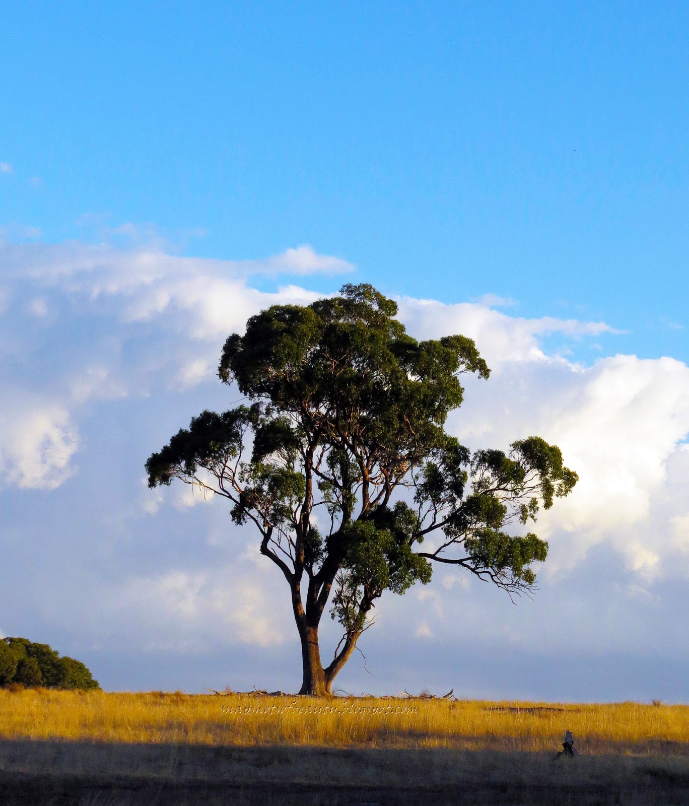 The Travelling Sisterhood....