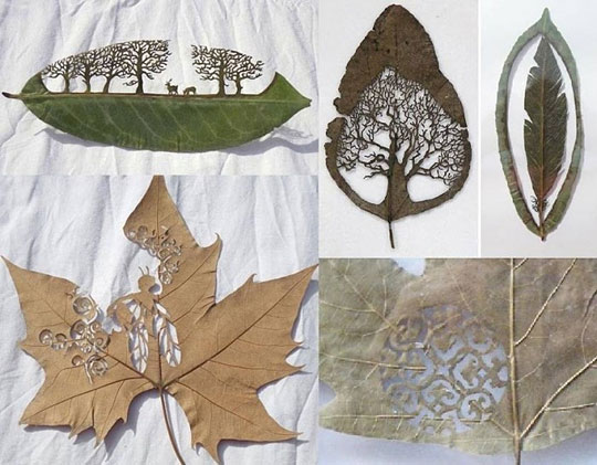 Leaf art : Your BLog Name|