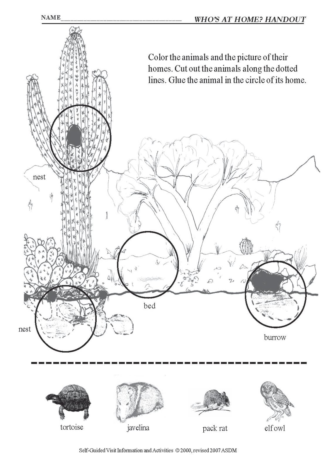 Botany Field Trip in the Desert: Habitat