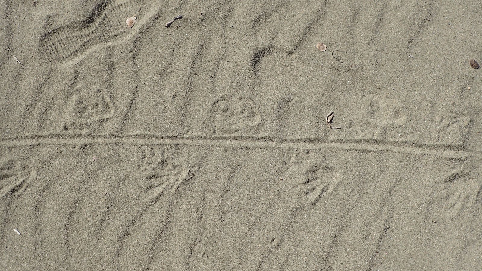 Things we did today...: Beachwalk ~ Other People's Vacation Pics