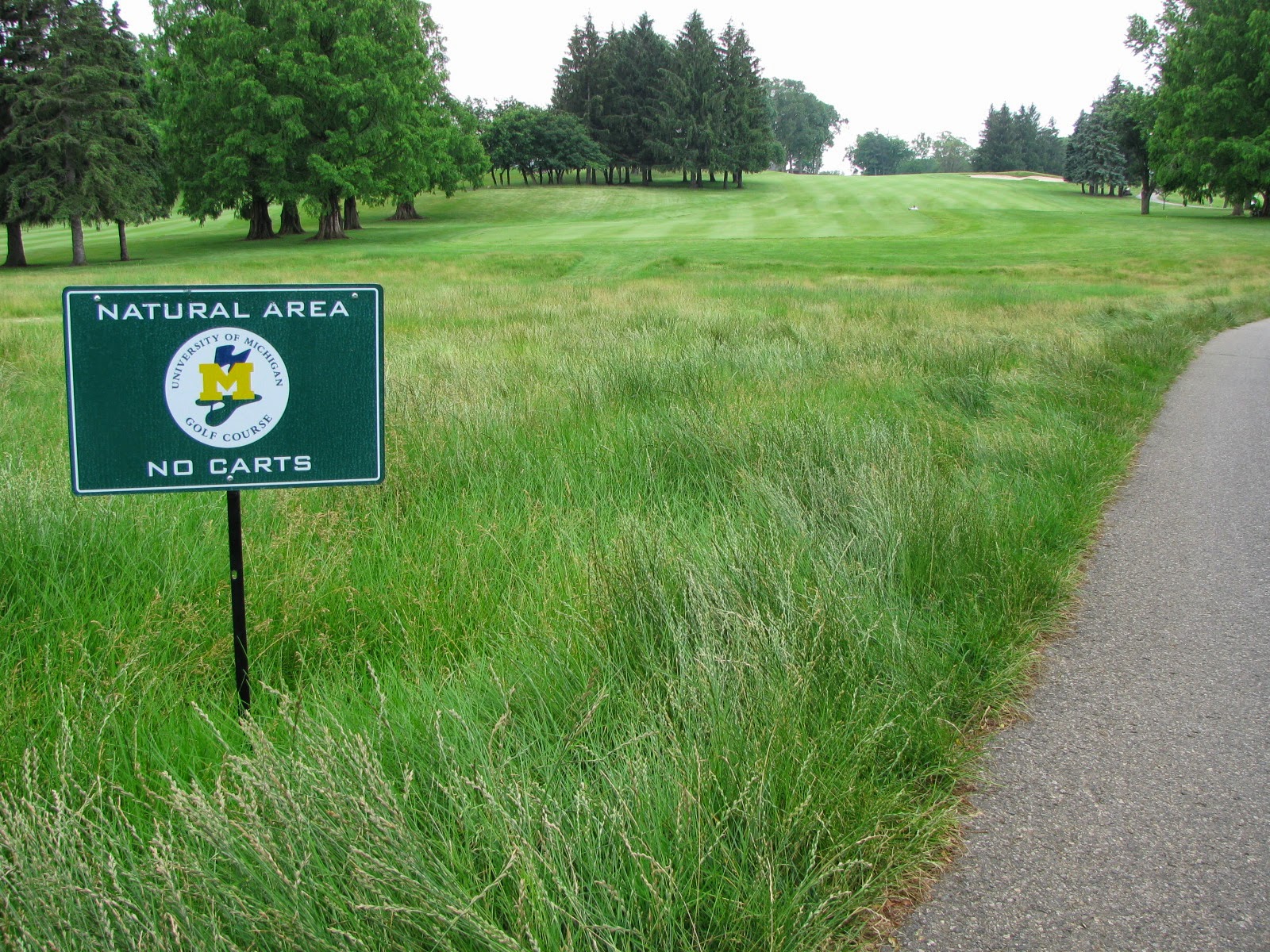 University of Michigan Golf Course