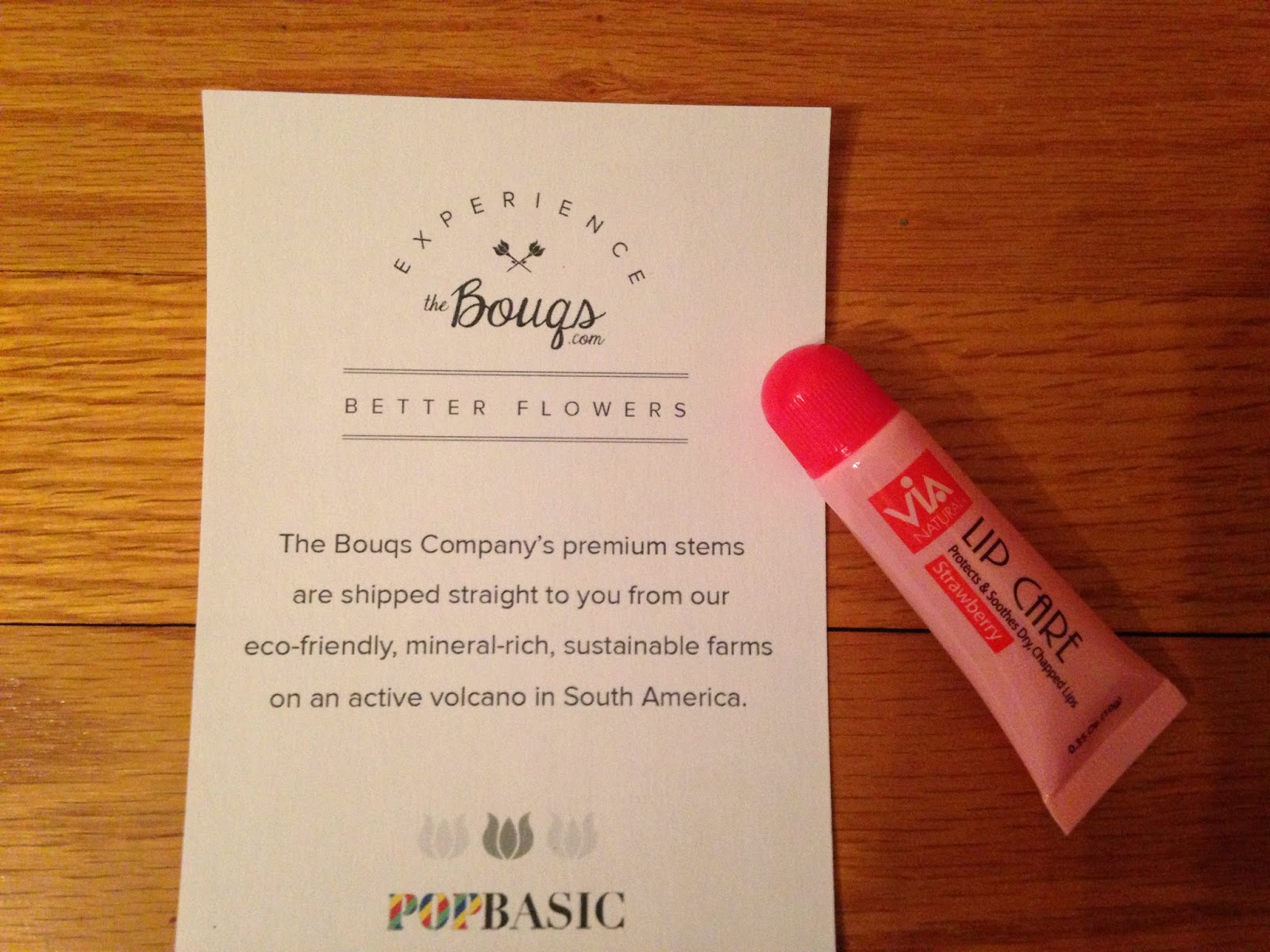 Can't Stop Subscribing: Popbasic Paloma Collection