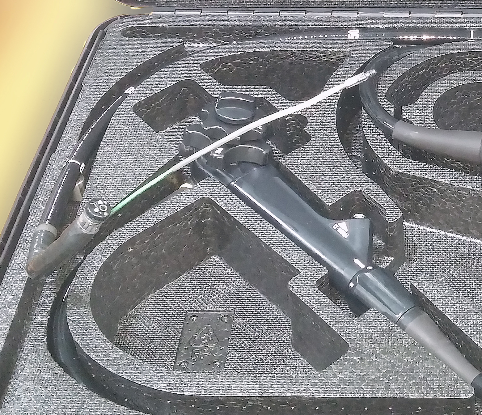 IEC Innovative Endoscopy Components: 2017