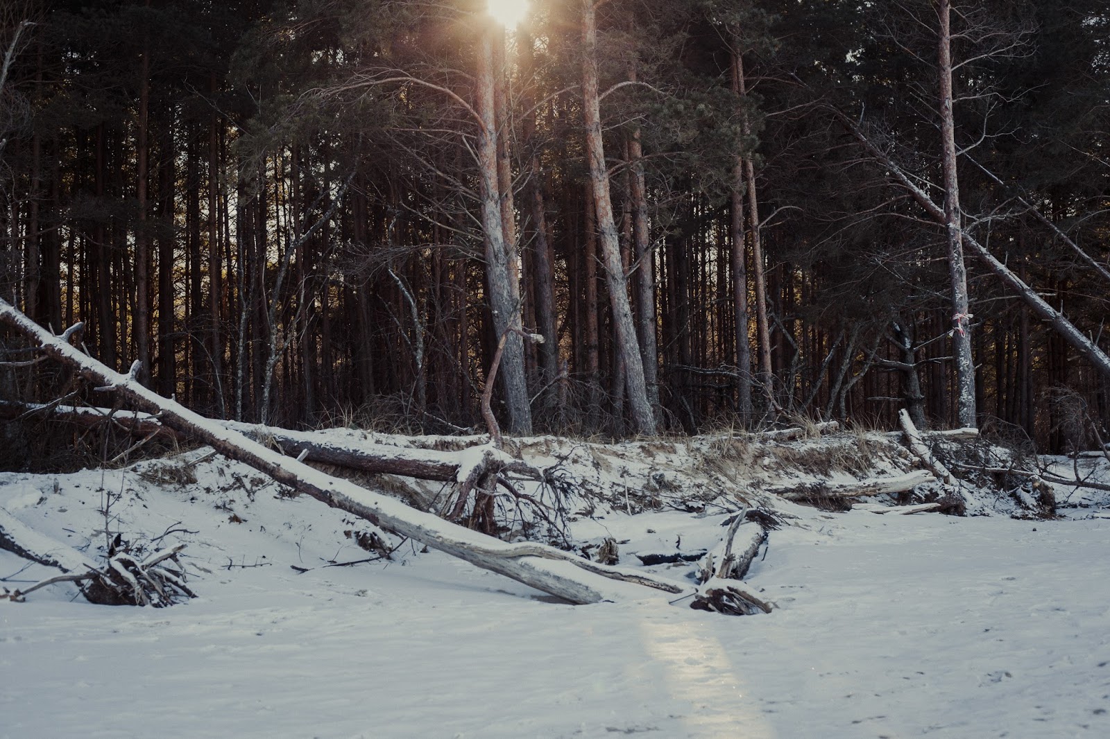 Gauja ietek jūrā || Idejas brīvdienām - Sandija Veipa
