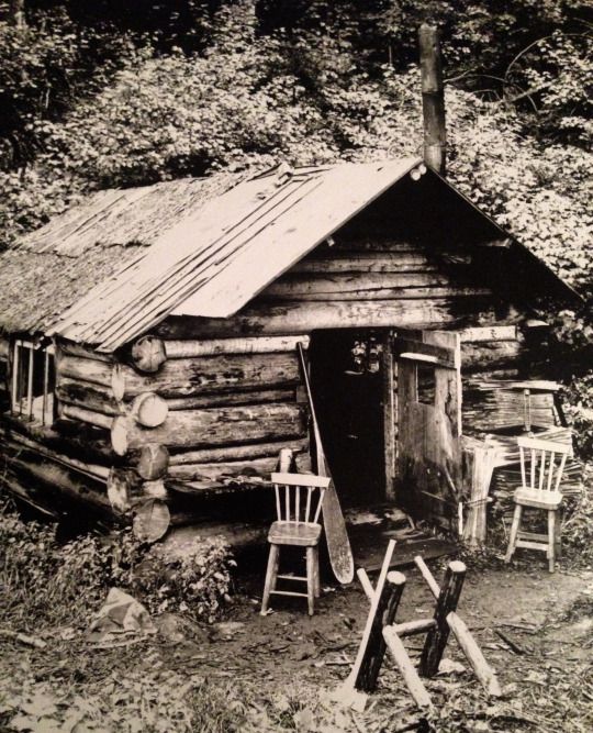 The Log Blog: Love these pictures of these two old hunting cabins.