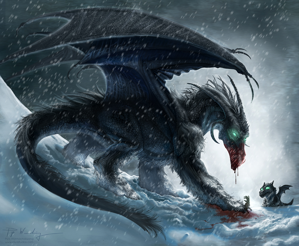 The Dracopedia Project: Winter Dragon Winners!