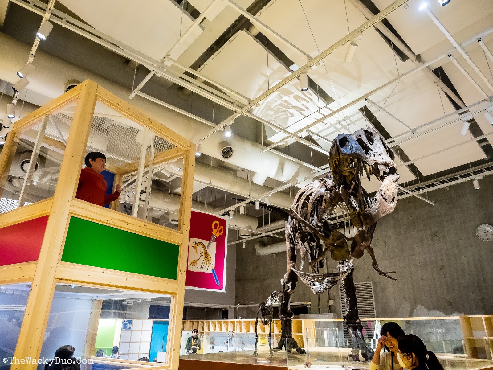 National Museum of Nature and Science Tokyo : Guide - TheWackyDuo.com ...