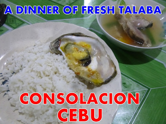 Laag-Laag sa Cebu (Part 3): Feasting on Consolacion’s Fresh Talaba ...
