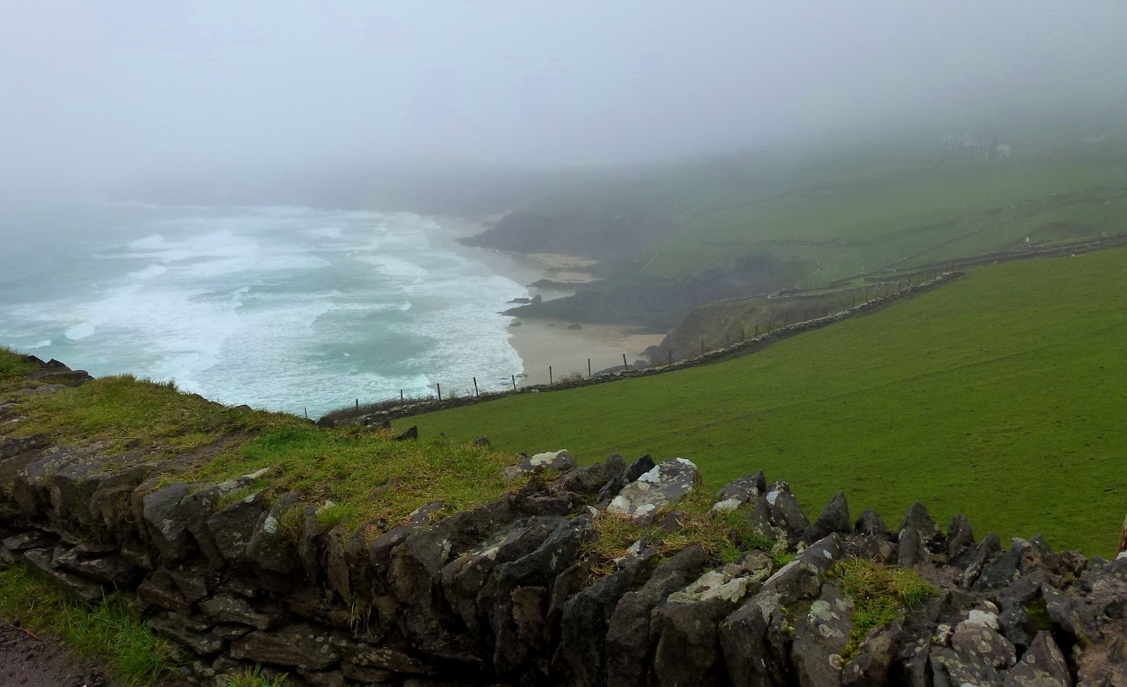 Paddy's Wagon: Don't let Drizzle around Dingle get you Down