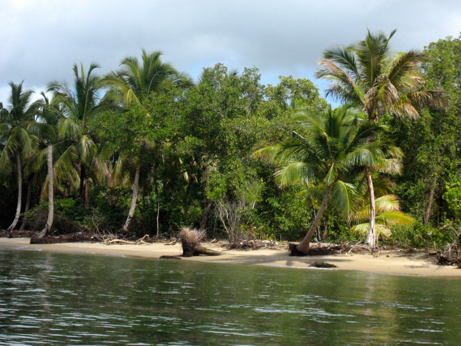 Finally Fun!: To Samana Bay, Dominican Republic