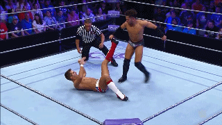 Elbow Drop to the Leg