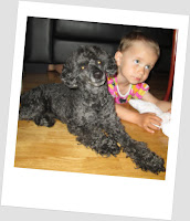 Liten pudel Rufus: Hemmamys med två små-killar som är lite på halvfart.