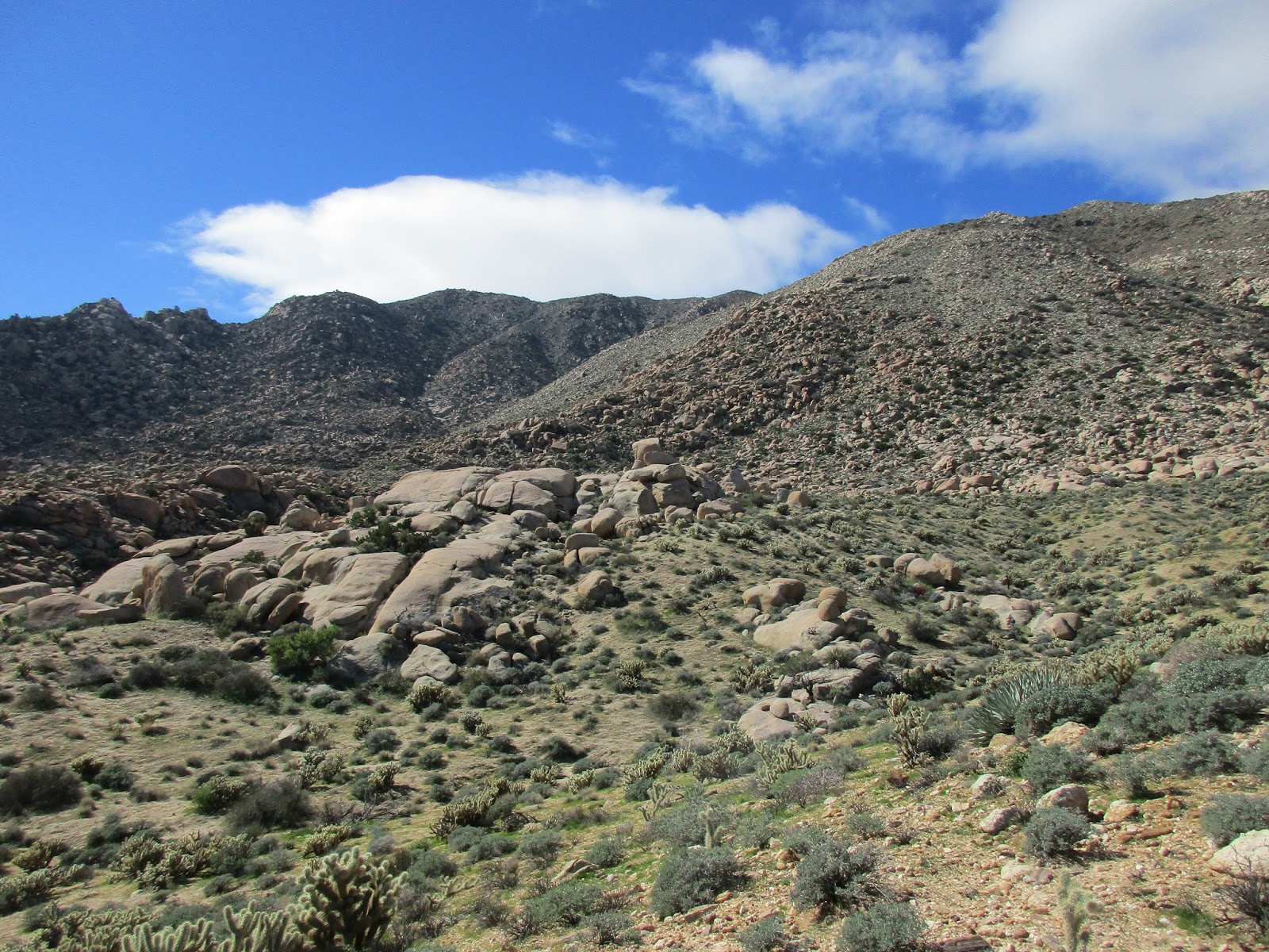 Iron Hiker: Jacumba Mountain