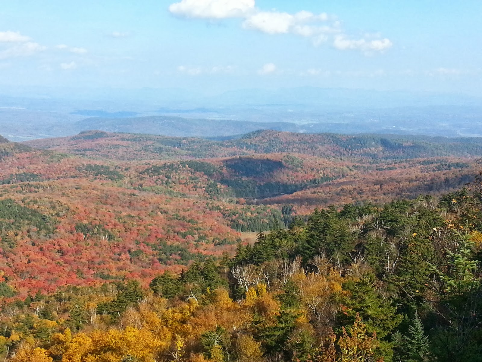 Simply Franee: Black Mountain, Clemons NY