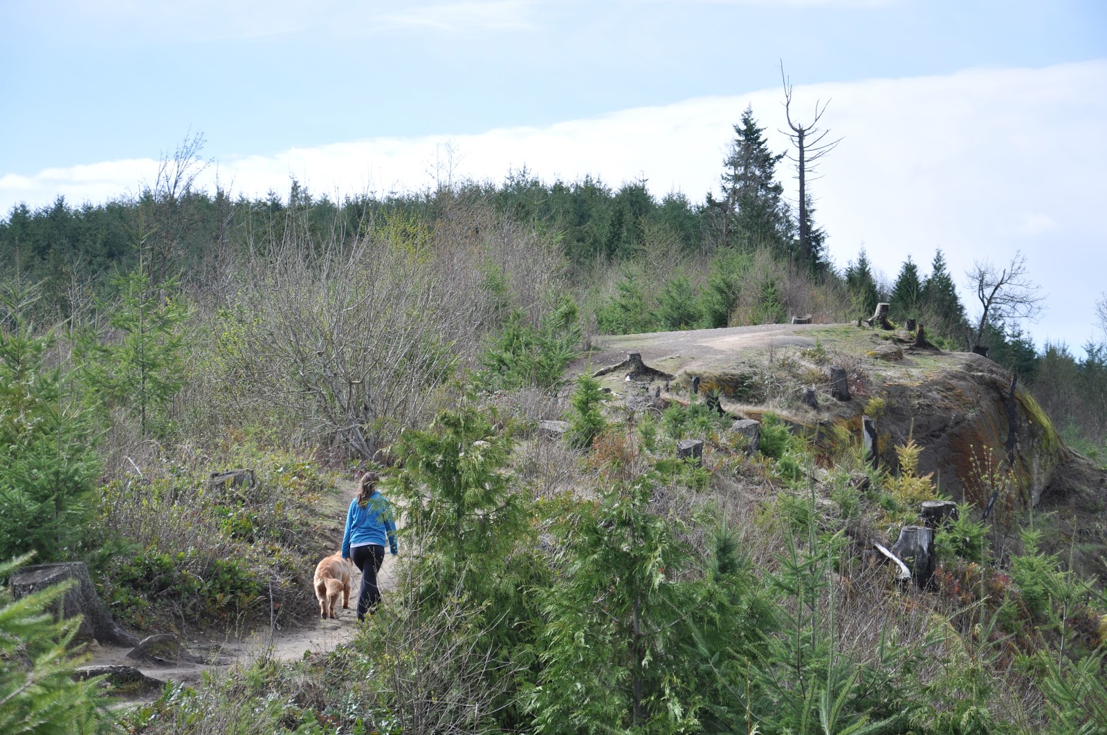 Galbraith Hiking: Favorite Galbraith hikes