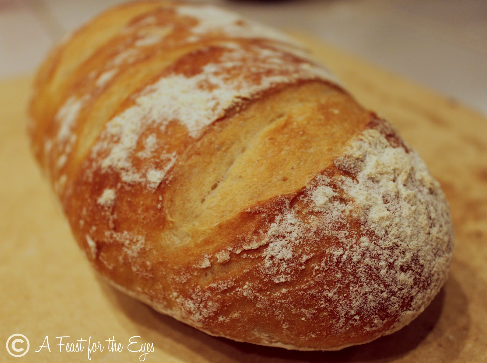 Artisan Bread in 5 Minutes A Day Basic Recipe - A Feast For The Eyes