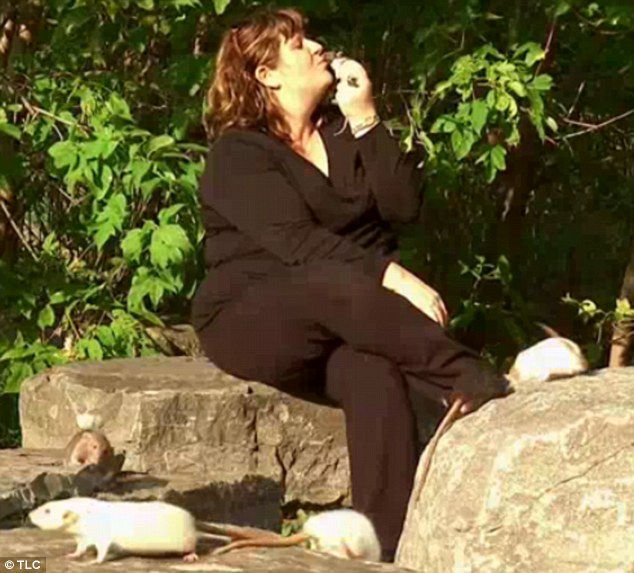 Paranormal And Strange World: Rat Mania -Obsessed With Rats