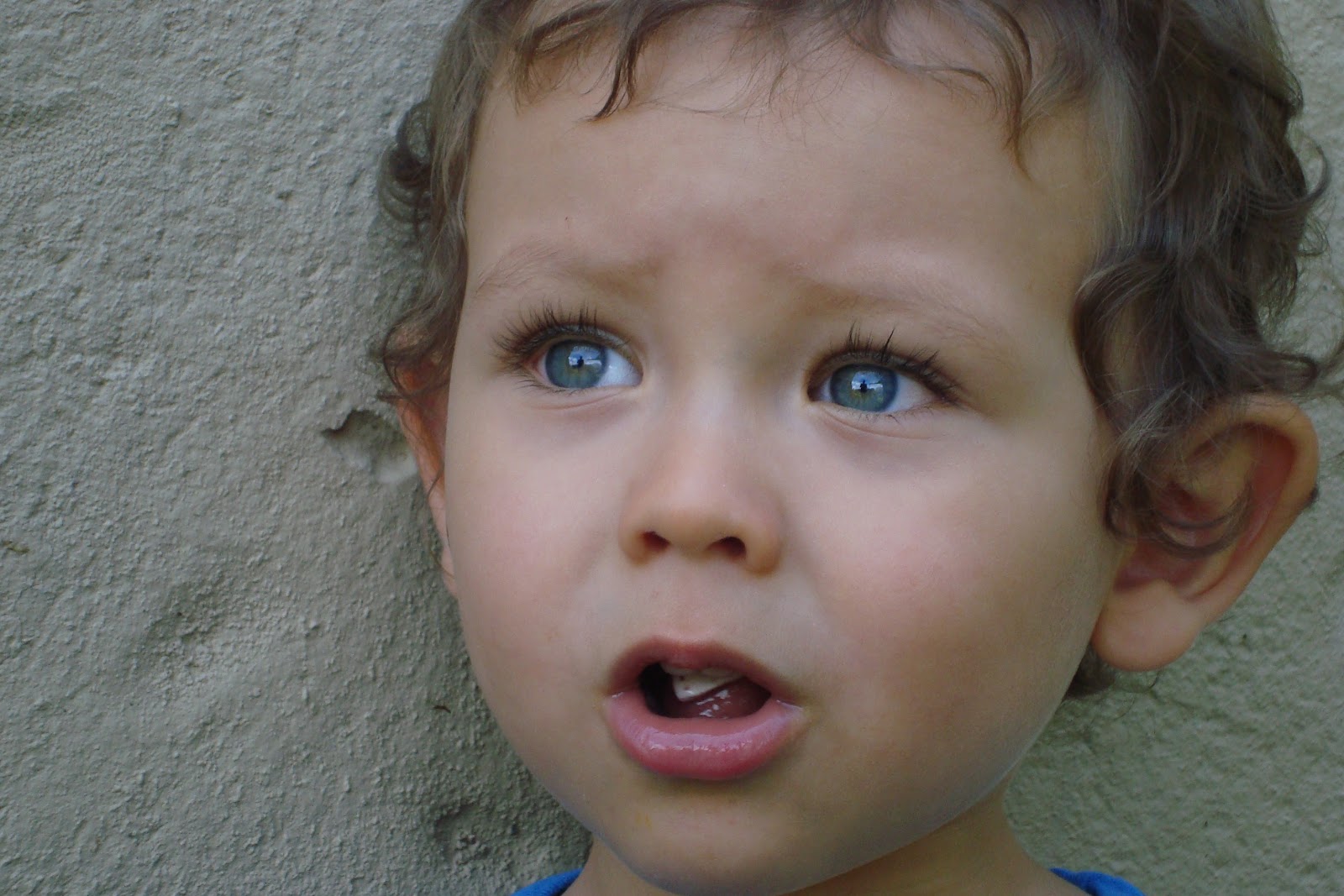 Imagen: Primerísimo primer plano