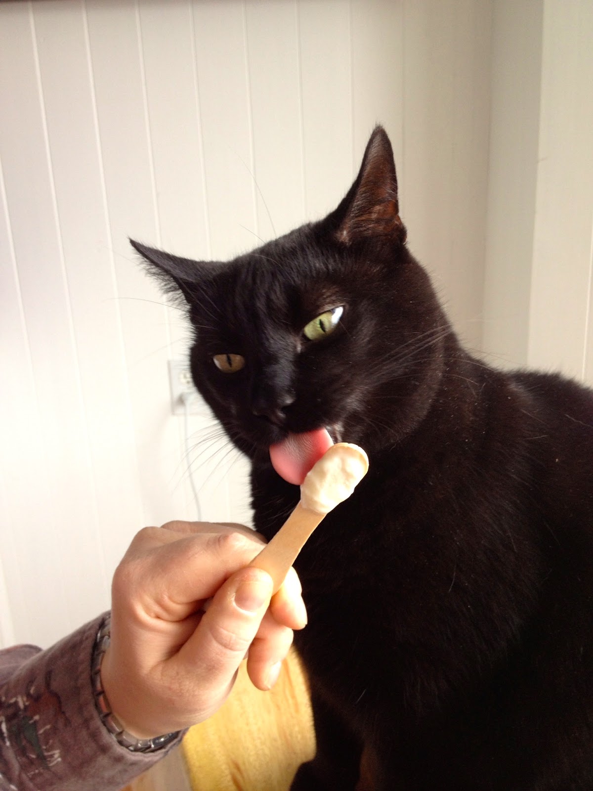 The Grumpy Goat Gallery