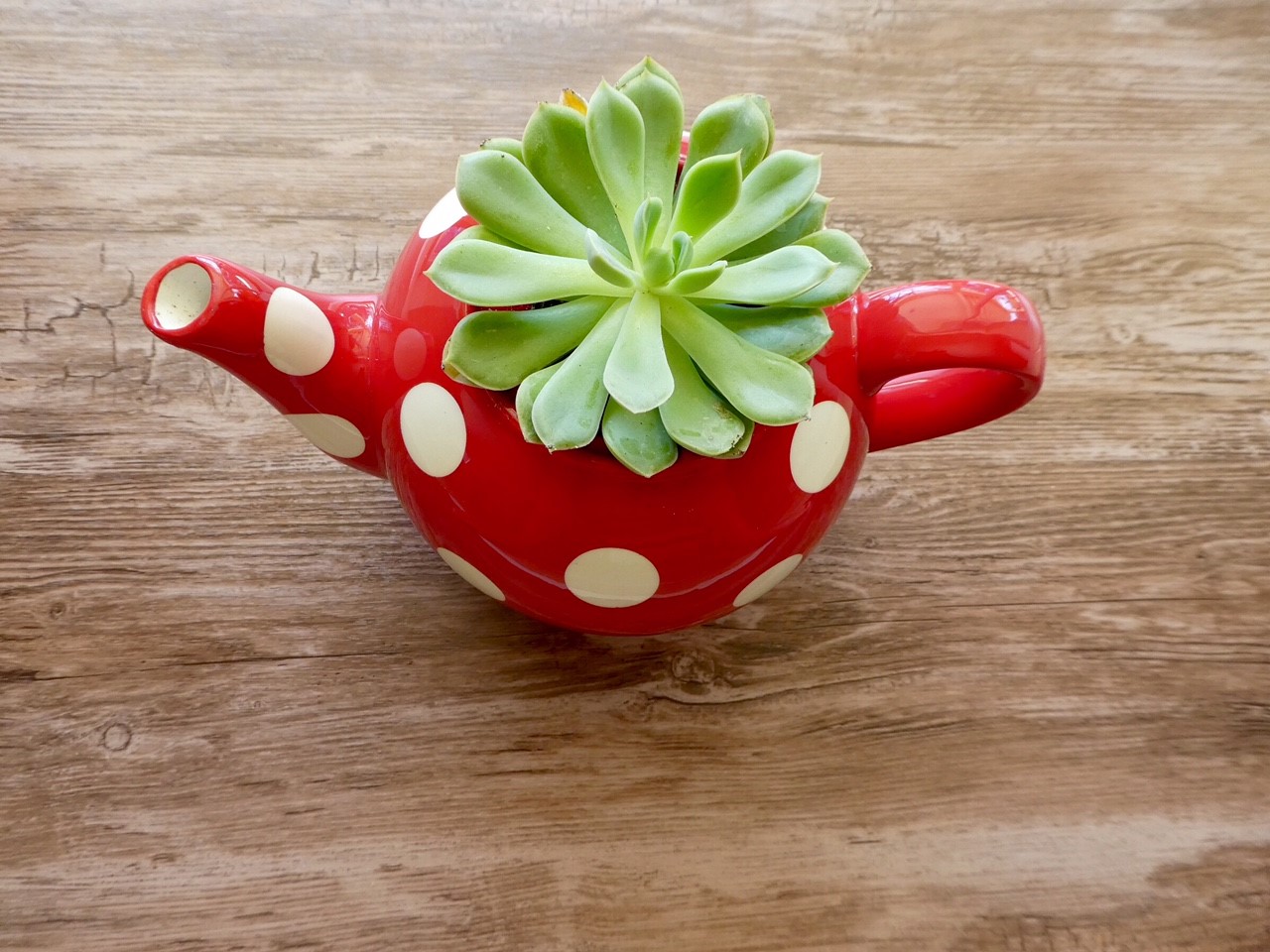 When Tara Met Blog: 3 Simple Tips to Improve Your Home's Air Quality