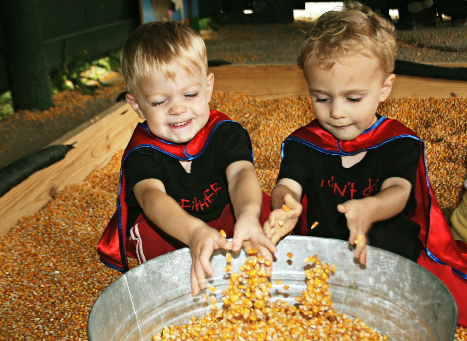 Two Bears Farm and the Three Cubs: The Pumpkin Patch - Jeter Farm ...