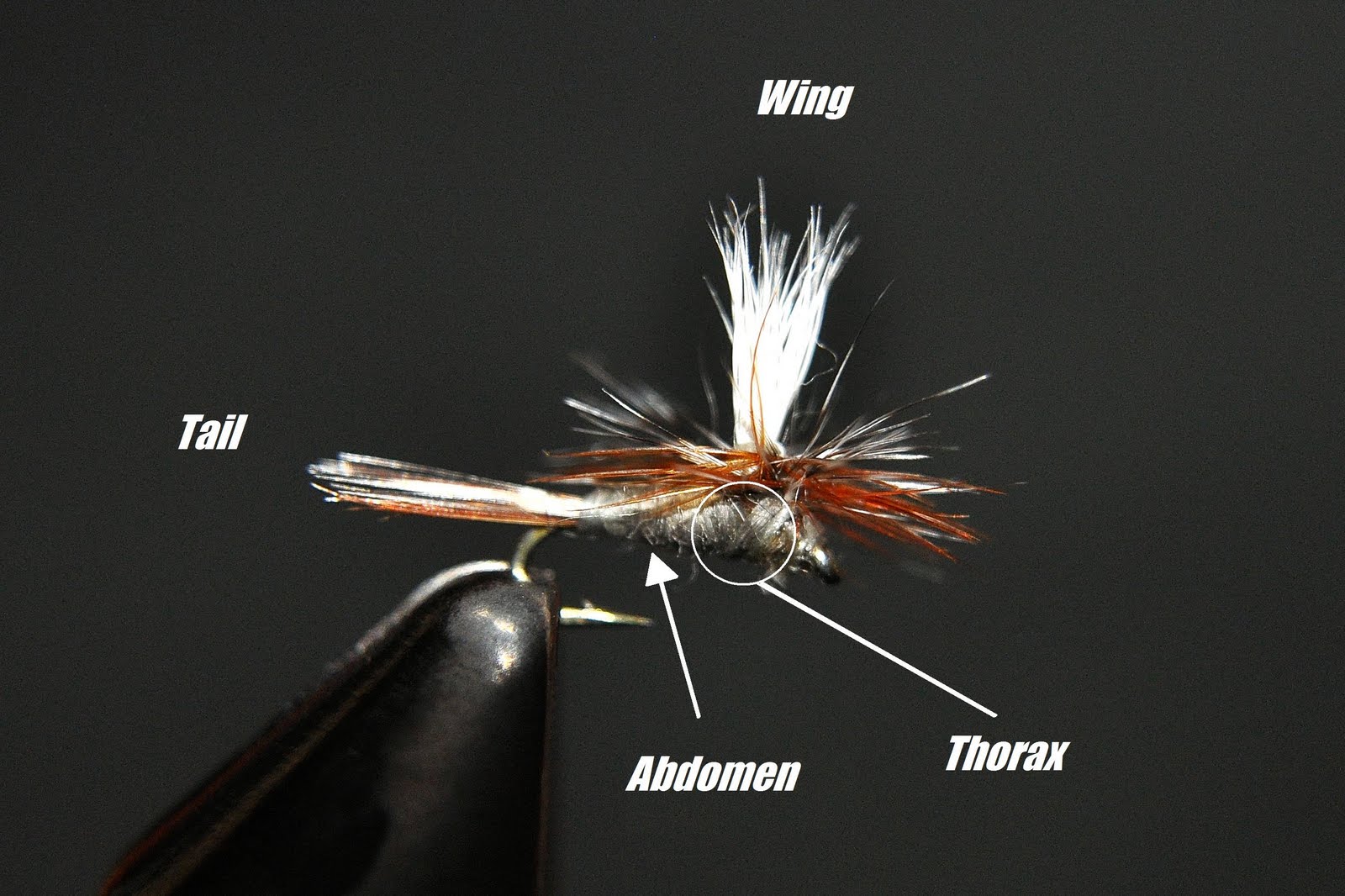 Colorado Fly Fishing Magazine: Kleis's Back To Basics "Bug Parts - The ...
