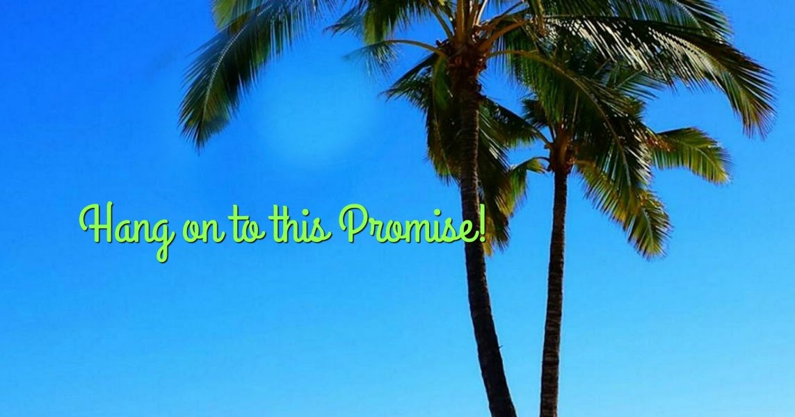 Bible Love Notes: The "Promise of the Palm Tree" in Psalm 92