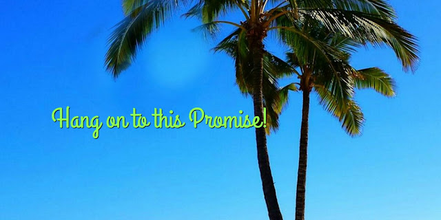 Bible Love Notes: The "Promise of the Palm Tree" in Psalm 92