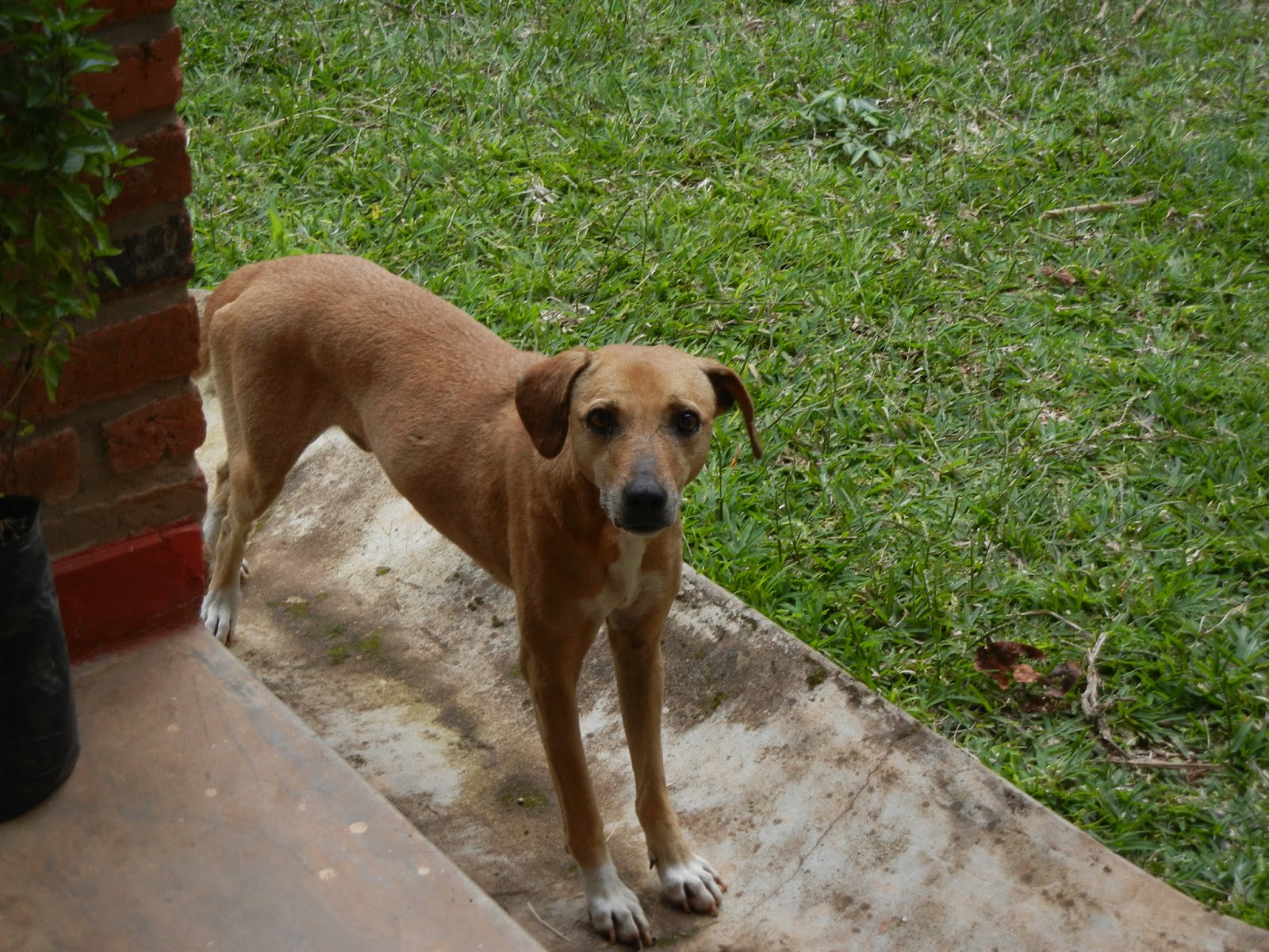 Leo in Malawi: March 17 - Take it easy Sunday