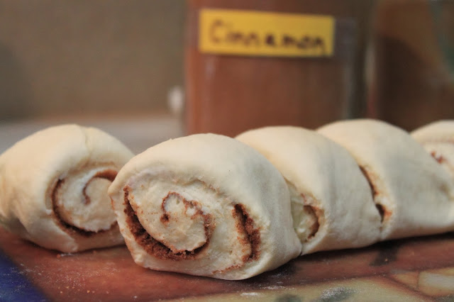 Hannibal's Elephant Ears {Ancient Rome} — Delightful Learning