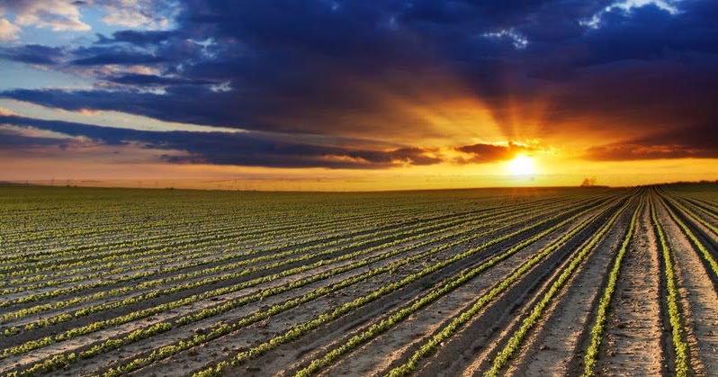 The Target Report: Transactional Print: Fertile Ground for ...