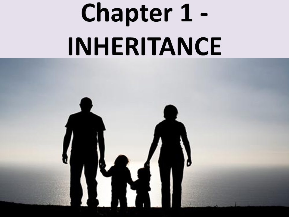 Grade 10: SEMESTER 2 Chapter 1 - INHERITANCE
