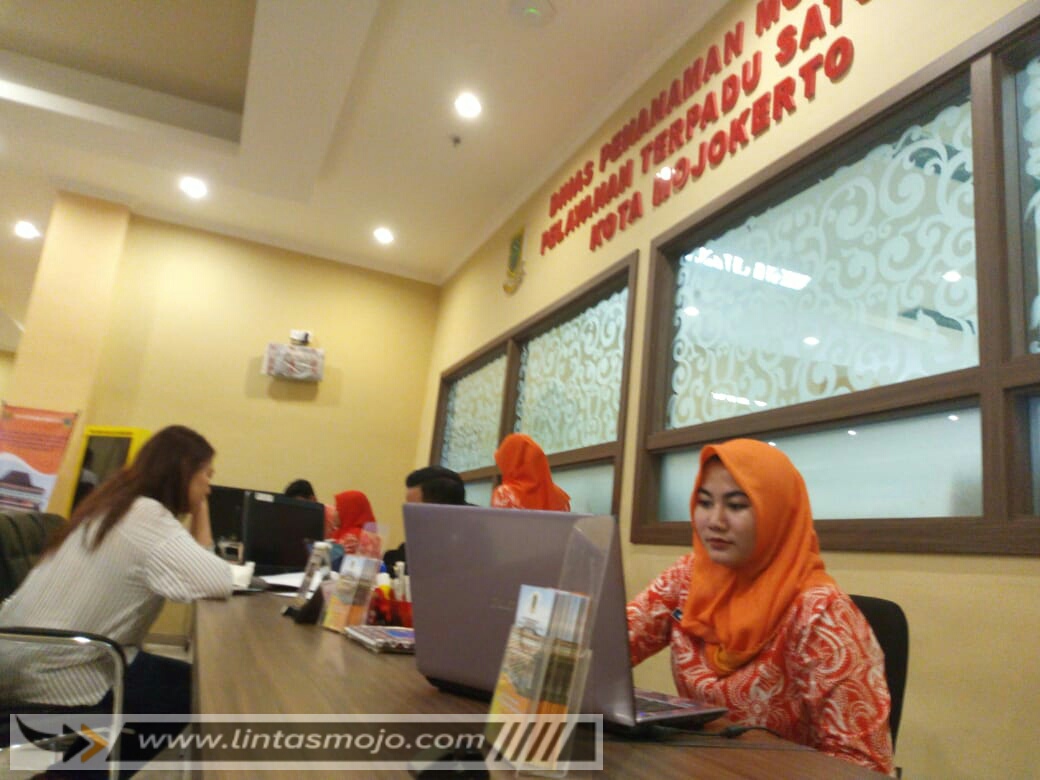 Si Mojo, Urus ijin bisa Online