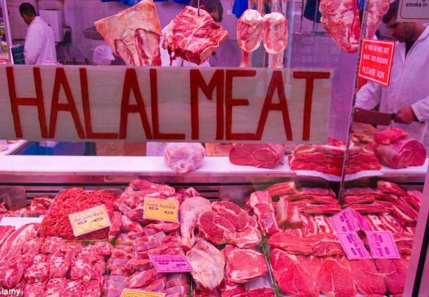 Agen Supplier Distributor Daging Sapi Bandung: penjual daging sapi