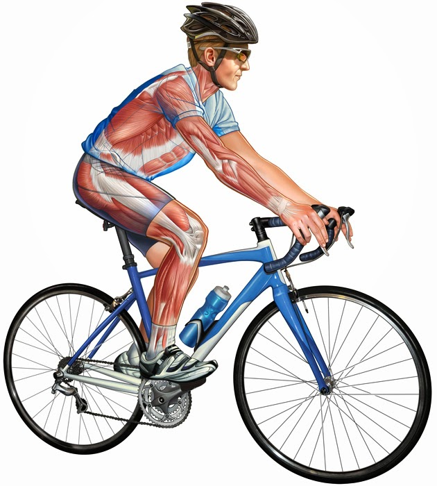 Ways to Become a Better Cyclist